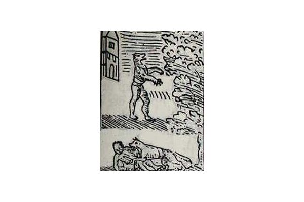 Varulve og andre farer