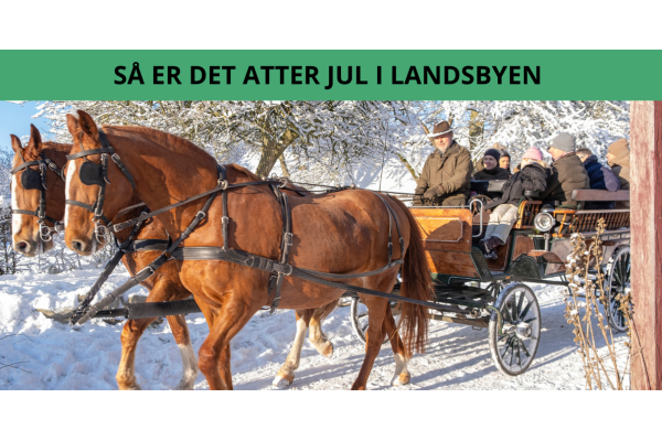 Jul i Den Fynske Landsby