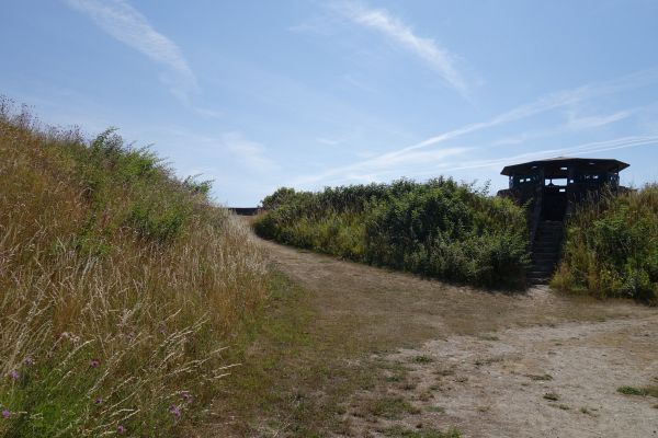Naturens Dag på Mosede Fort