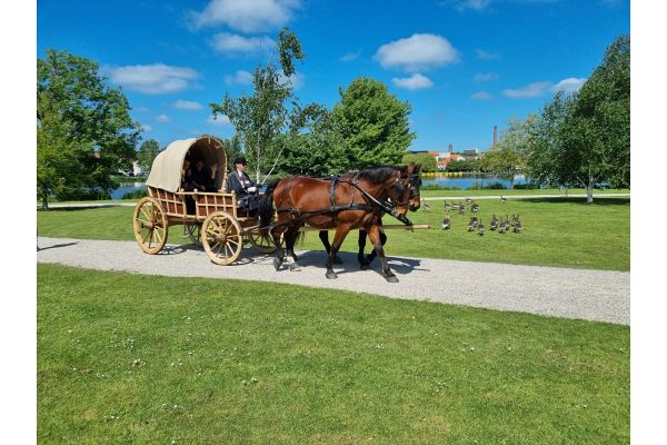 Slesvigske Vognsamling